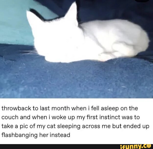 Flashbanging memes. Best Collection of funny Flashbanging pictures on ...