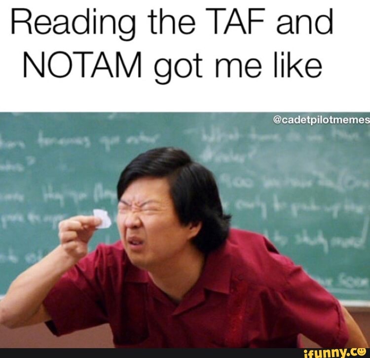 Reading the TAF and NOTAM got me like - iFunny