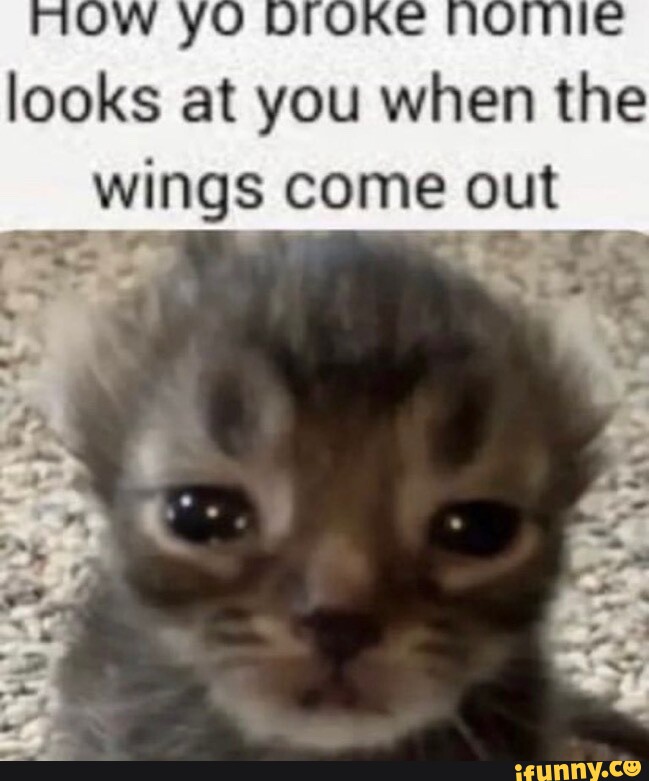 GER, say Fresco If kids only knew.... Momma Masc @MisterJROCKA it?? The ...