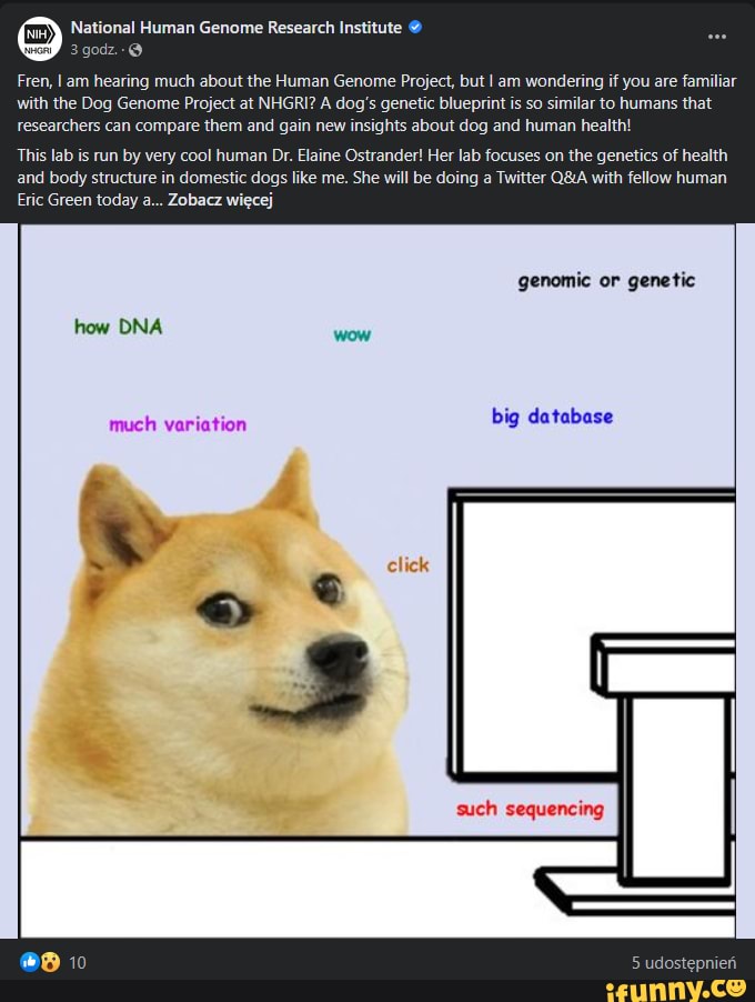 Blueprint memes. Best Collection of funny Blueprint pictures on iFunny