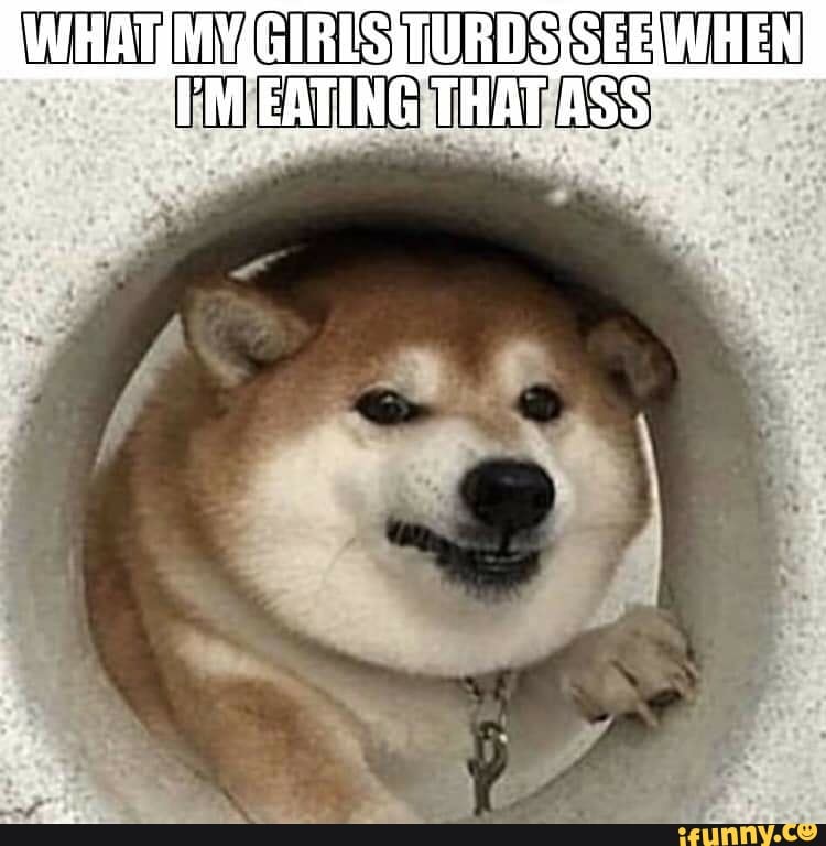 Buttmuncher memes. Best Collection of funny Buttmuncher pictures on iFunny