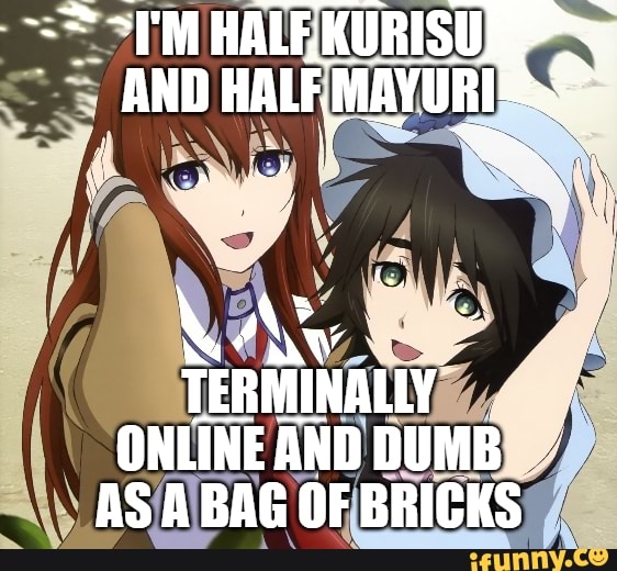 Steins;Gate memes memes. The best memes on iFunny
