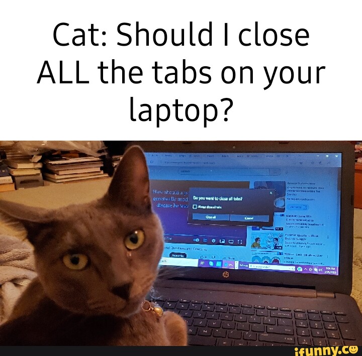 Cat: Should I close ALL the tabs on your laptop? - iFunny