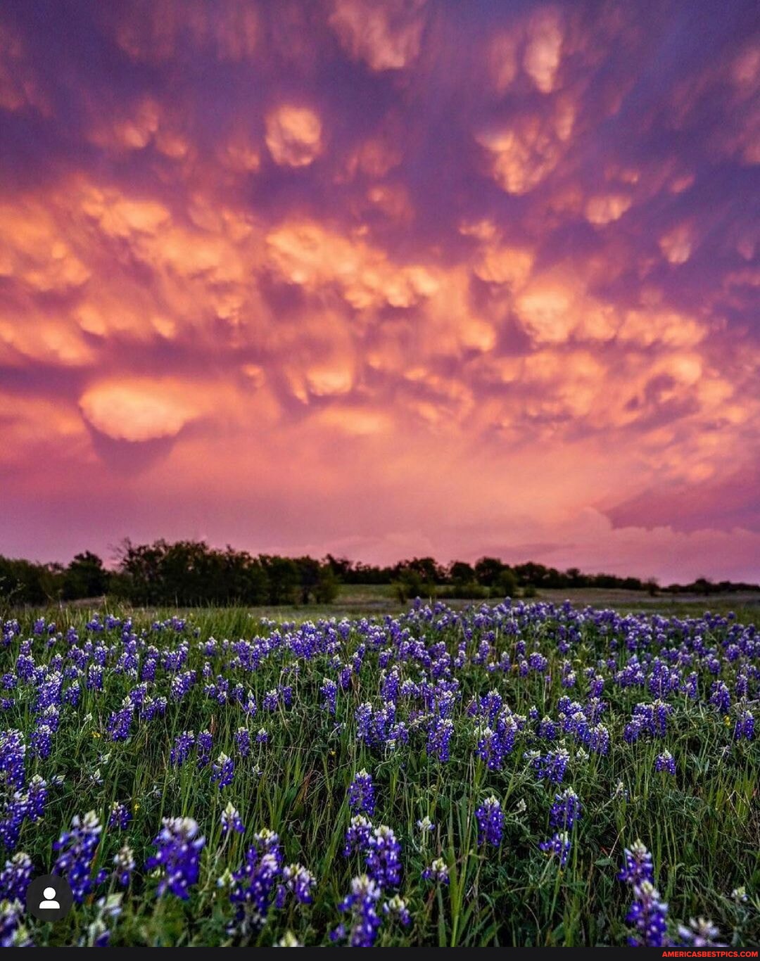 Spring in Texas Still one of my favorite shots from a few years ago ...