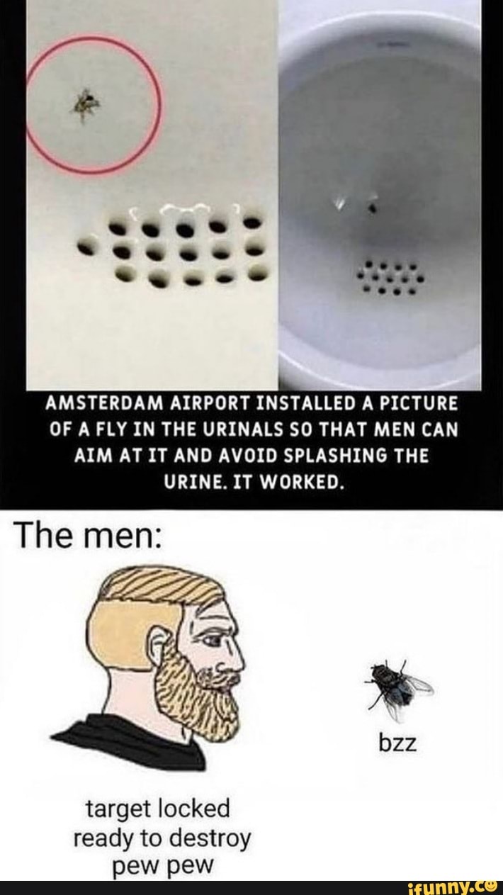 AMSTERDAM AIRPORT INSTALLED A PICTURE OF A FLY IN THE URINALS SO THAT ...