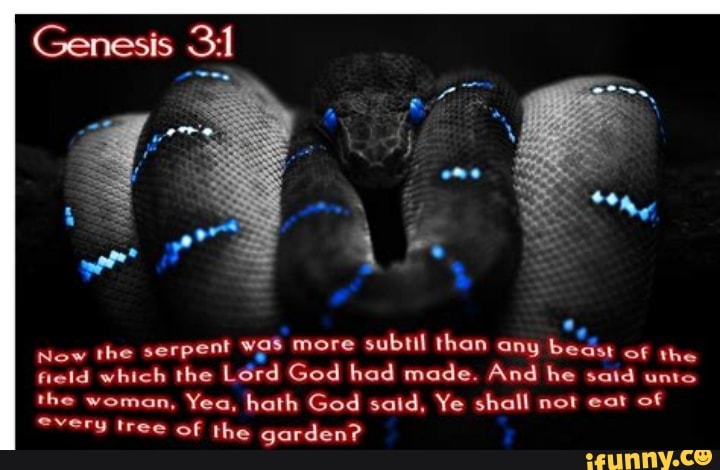 Genesis Now the serpent was more subtil than any beast of the field ...