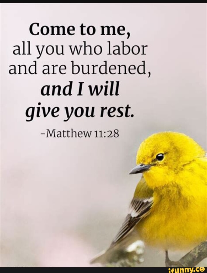 Come to me, all you who labor and are burdened, and I will give you ...