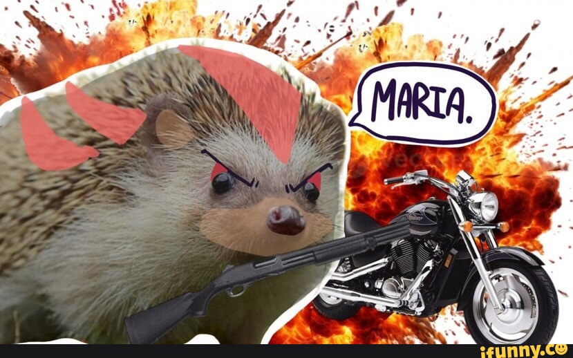 Maria memes. Best Collection of funny Maria pictures on iFunny