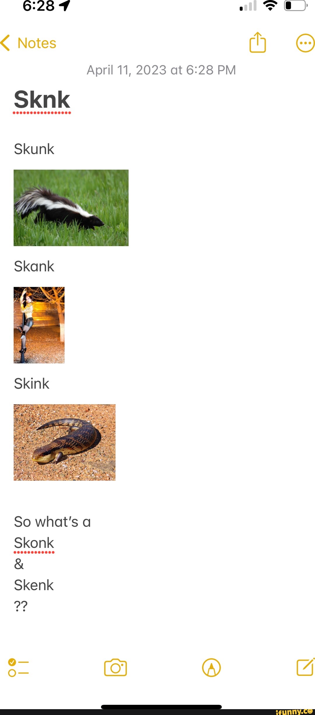 Notes April 11, 2028 at PM Sknk Skunk Skank Skink So what's Skonk Skenk ...