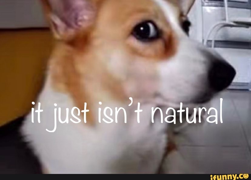 Juct memes. Best Collection of funny Juct pictures on iFunny