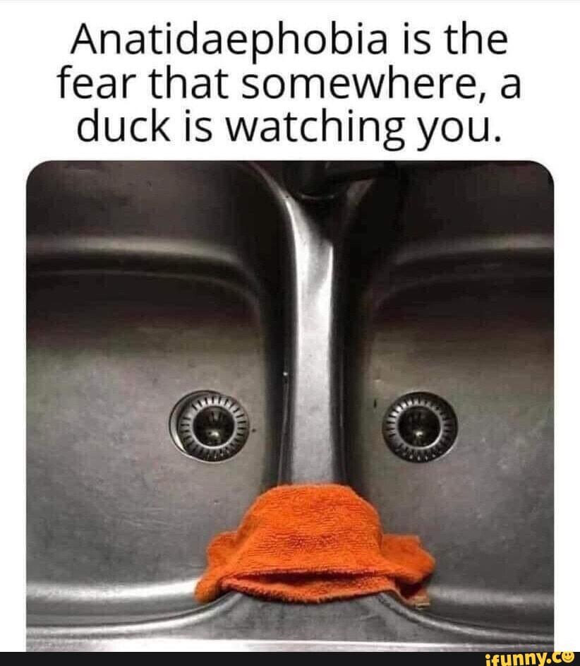 Anatidaephobia memes. Best Collection of funny Anatidaephobia pictures ...