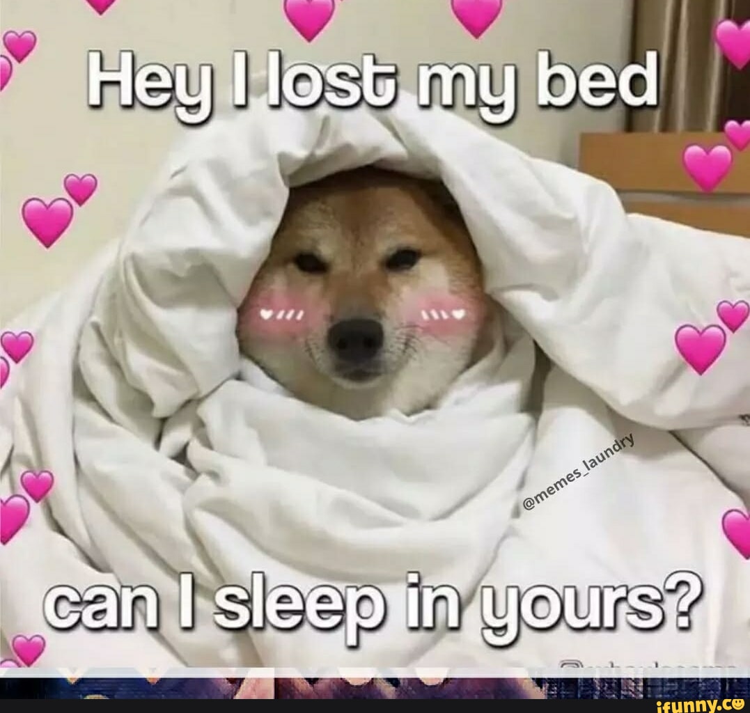 Bedroom memes. Best Collection of funny Bedroom pictures on iFunny