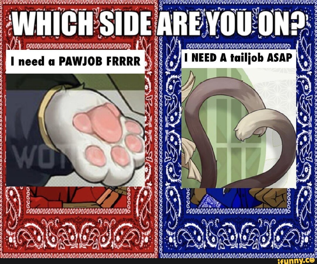 Asp memes. Best Collection of funny Asp pictures on iFunny