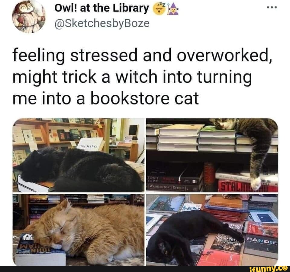 Overworked memes. Best Collection of funny Overworked pictures on iFunny