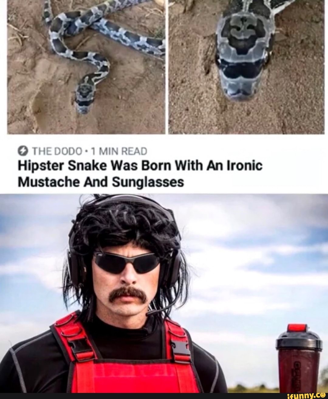 THE DODO "1 MIN READ Hipster Snake Was Born With An Ironic Mustache And ...