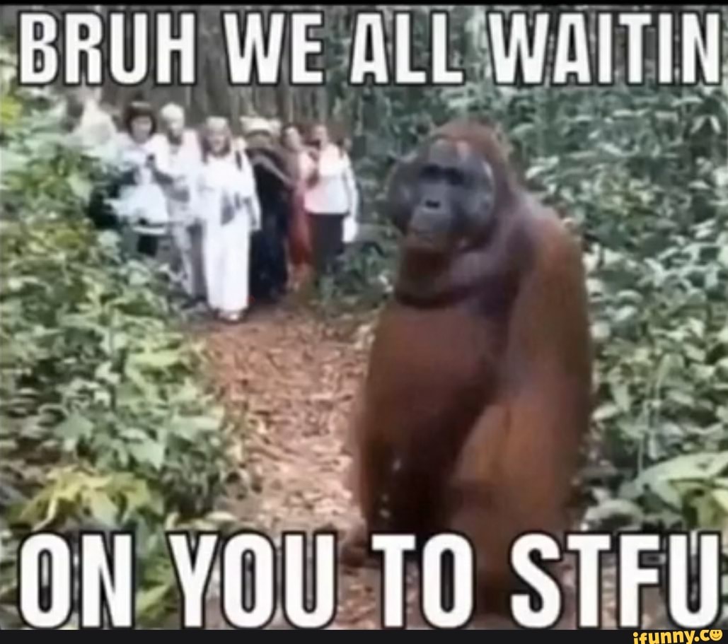 BRUH WE ALL WAITIN ON YOU TO STFU - iFunny