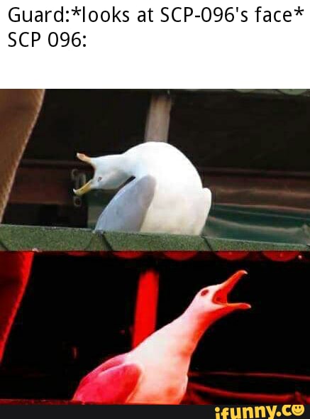 Guard:*looks at SCP-O96's face* SCP 096: - iFunny