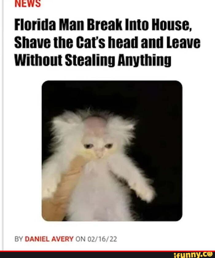 News Florida Man Break Into House, Shave the Cat's head and Leave ...