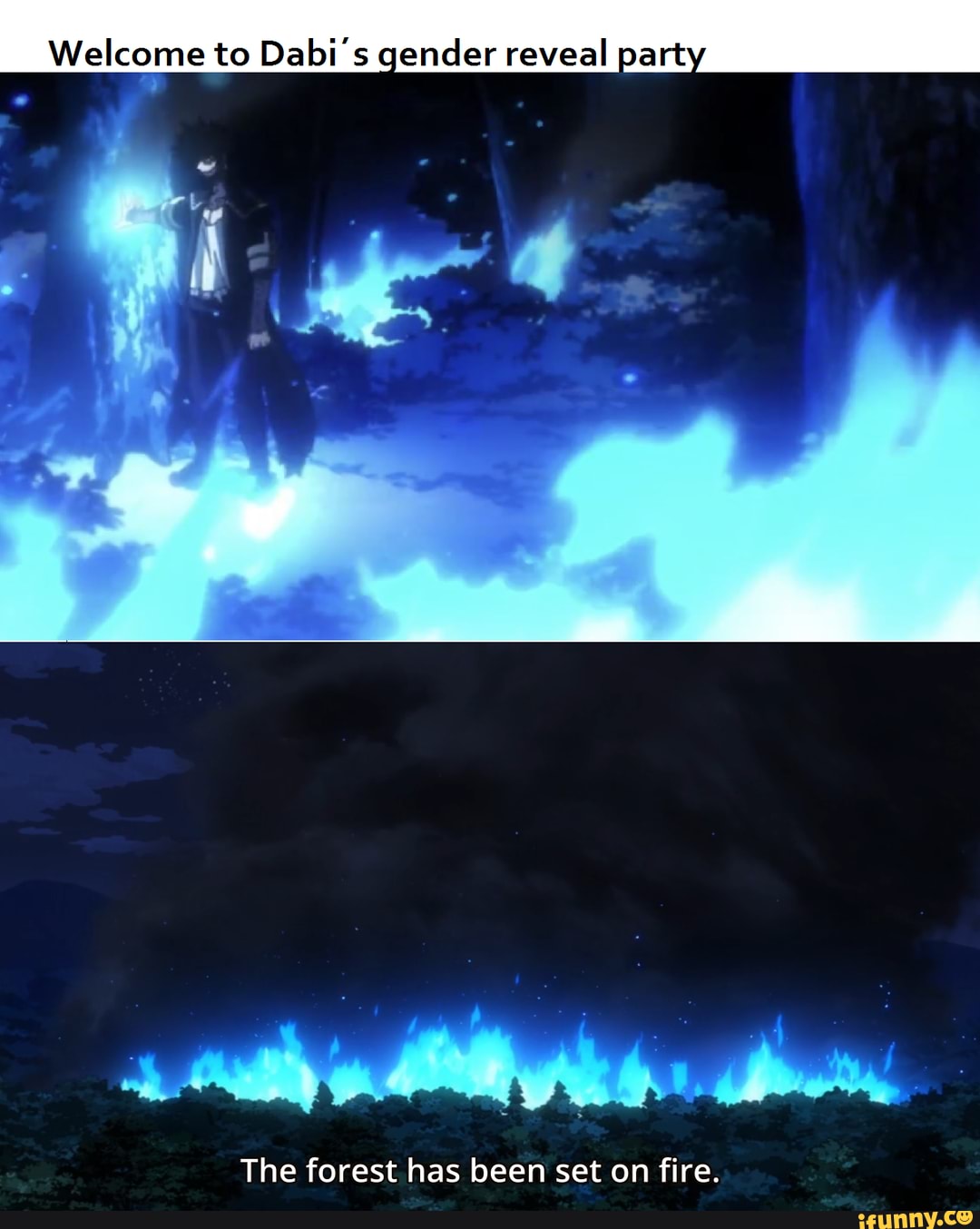 Welcome to Dabi's gender reveal pa The forest has been set on fire ...