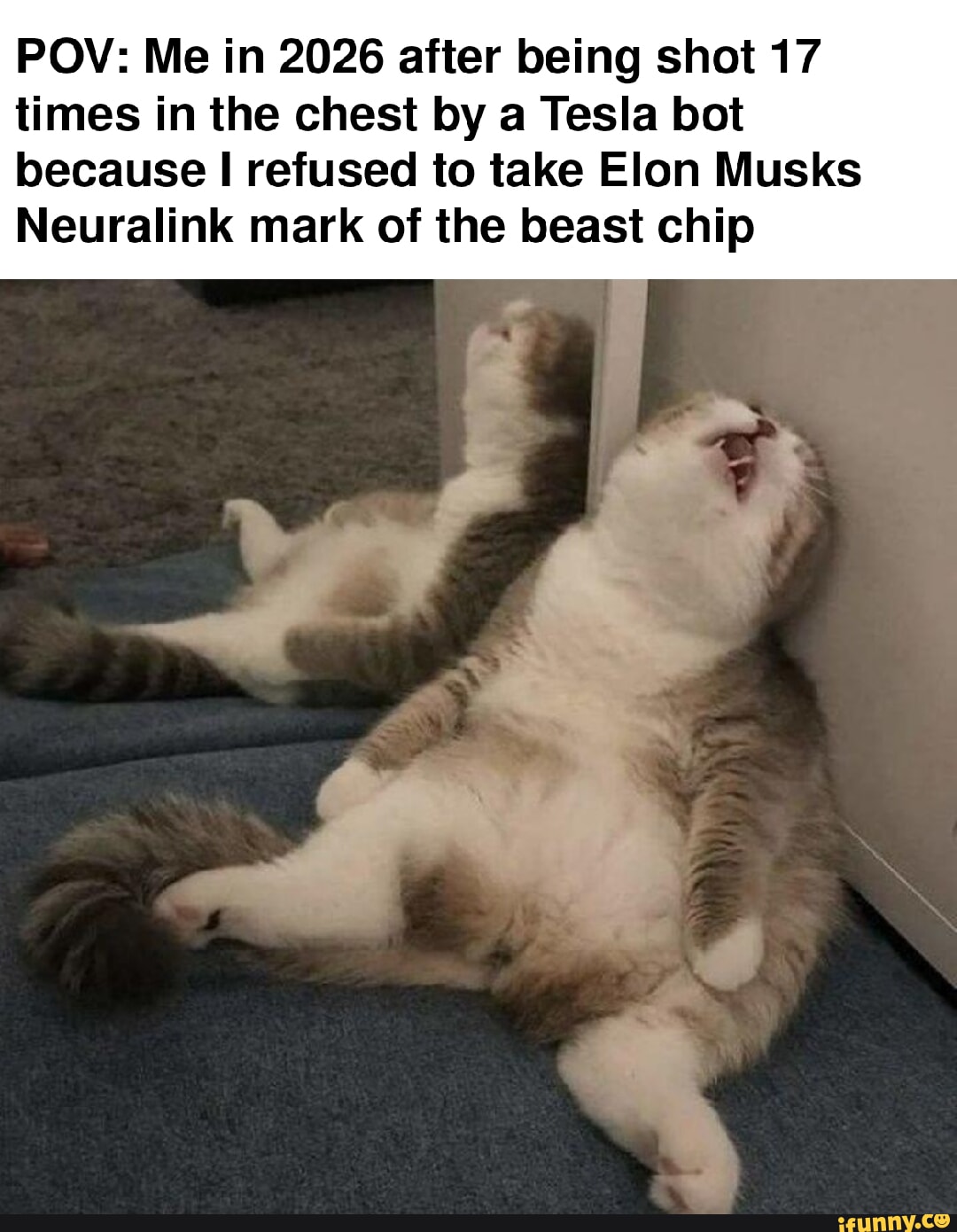 Teslabot memes. Best Collection of funny Teslabot pictures on iFunny