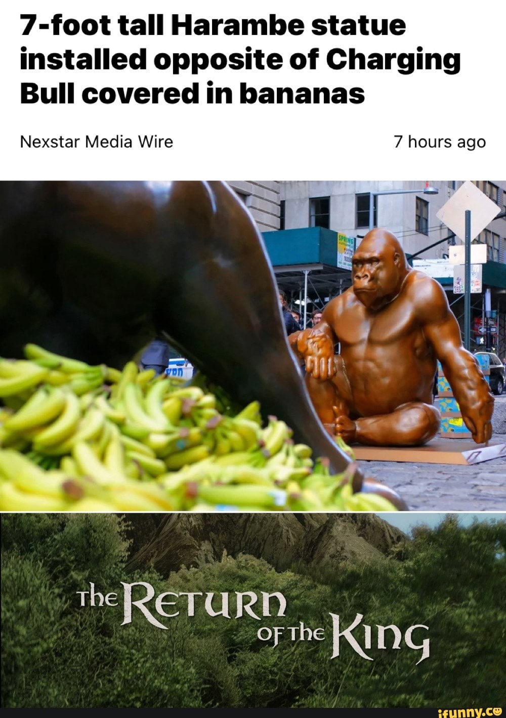 7-foot tall Harambe statue installed opposite of Charging Bull covered ...