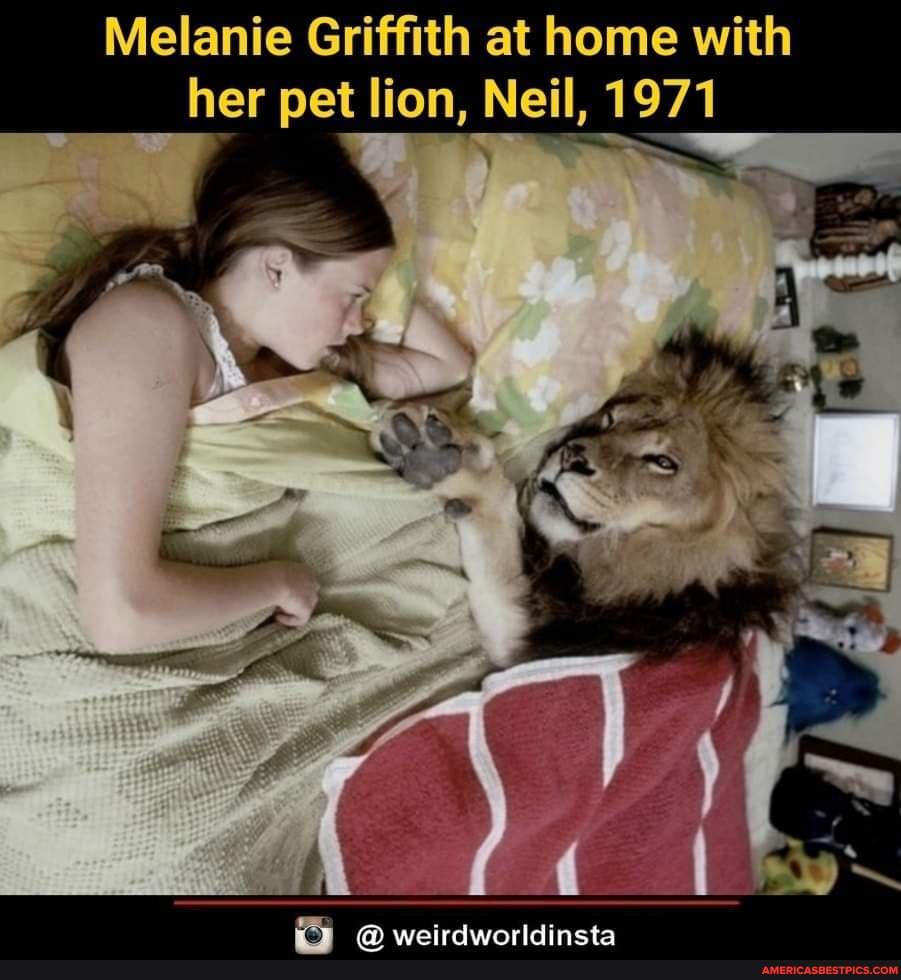 Melanie Griffith at home with her pet lion, Neil, 1971 - America’s best ...