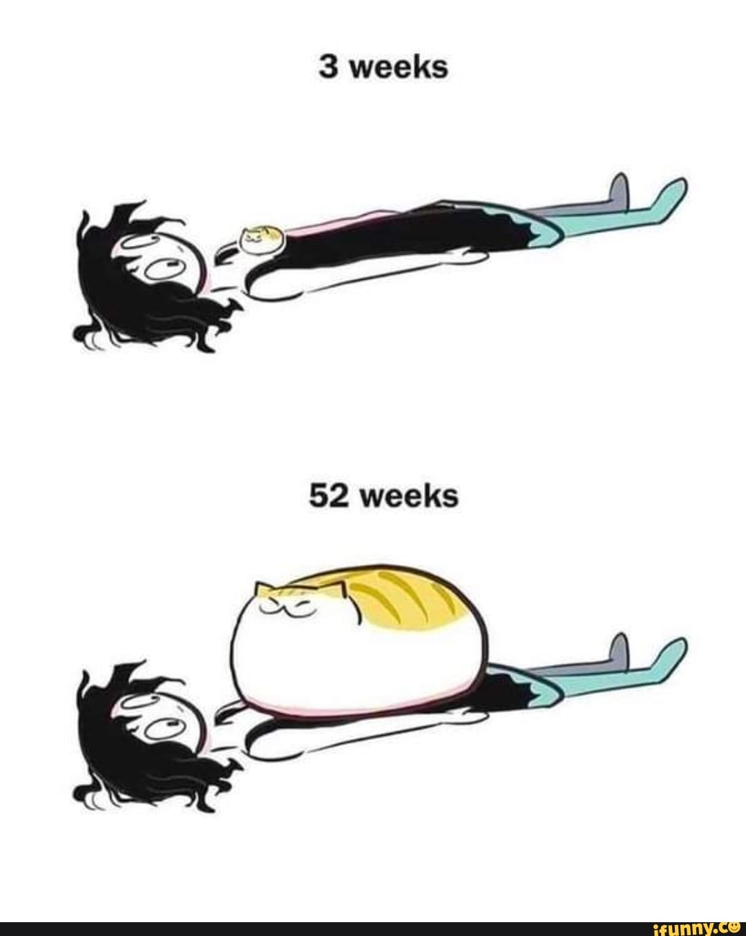 Weeks 52 weeks - iFunny