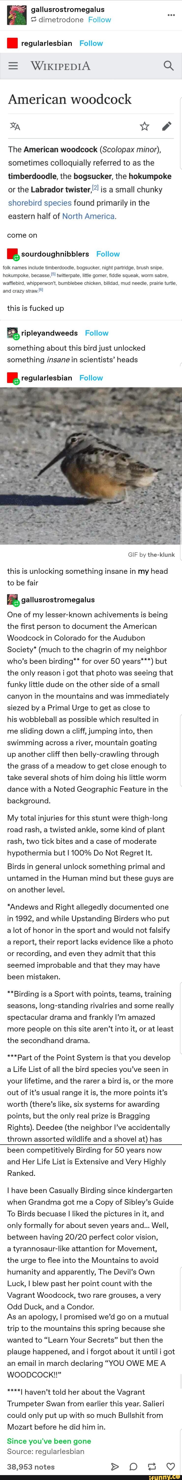 Timberdoodle memes. Best Collection of funny Timberdoodle pictures on ...