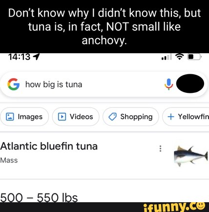 Bluefin memes. Best Collection of funny Bluefin pictures on iFunny
