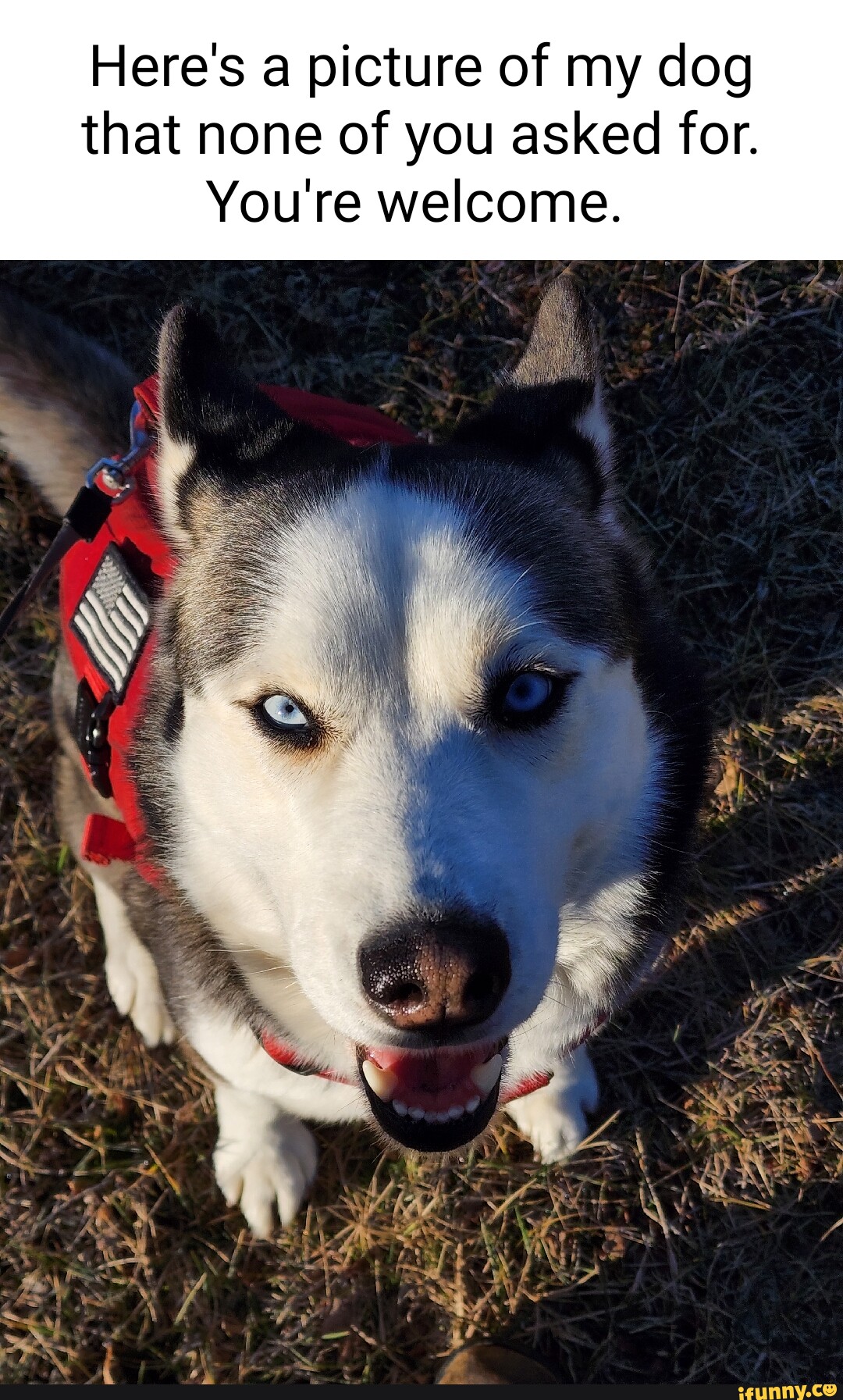 Video showing the exact moment Mexican singer Chalino Sanchez is handed ...