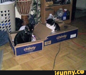 Stonks memes. Best Collection of funny Stonks pictures on iFunny