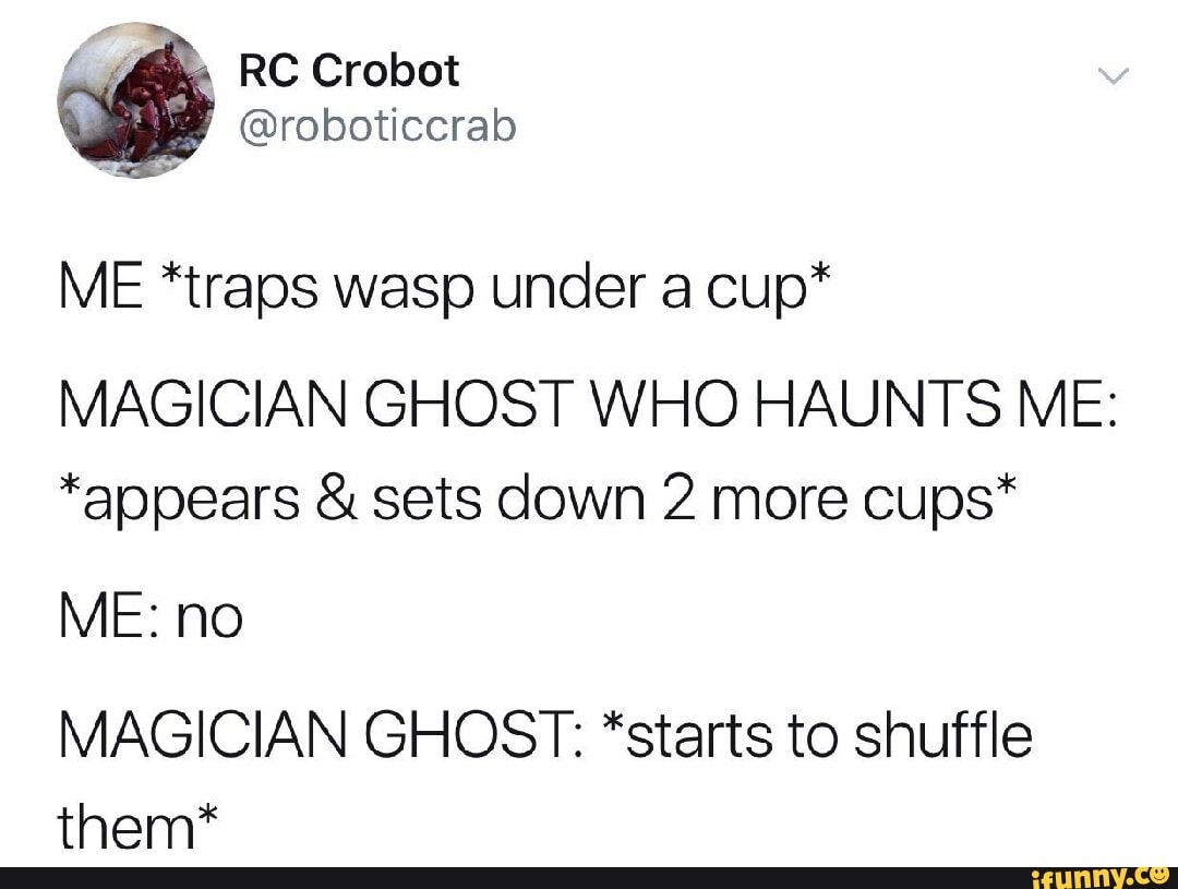 ME *traps wasp under a cup* MAGICIAN GHOST WHO HAUNTS ME: *appears ...
