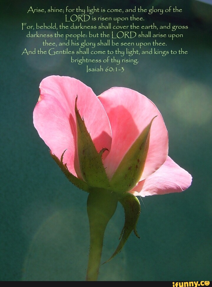 Arise, shine; for thy light is come, and the glory of the LORD is risen ...