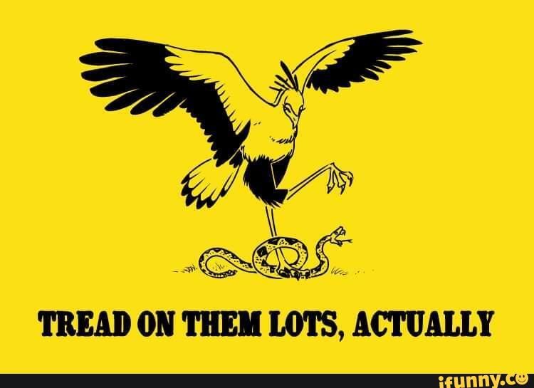 Gadsden_flag memes. Best Collection of funny Gadsden_flag pictures on ...