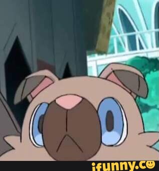 Rockruff memes. Best Collection of funny Rockruff pictures on iFunny