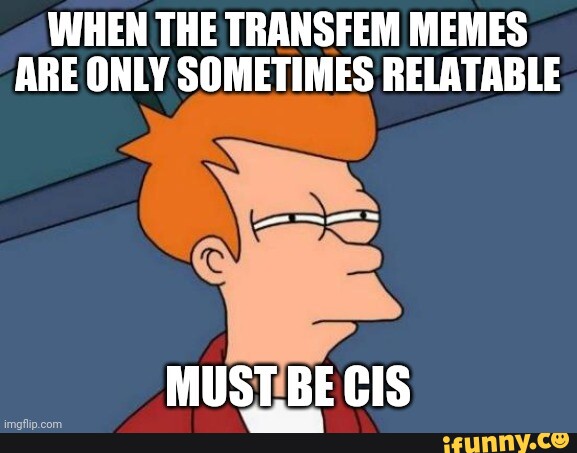 Eggirl - WHEN THE TRANSFEM MEMES ARE ONLY SOMETIMES RELATABLE - iFunny