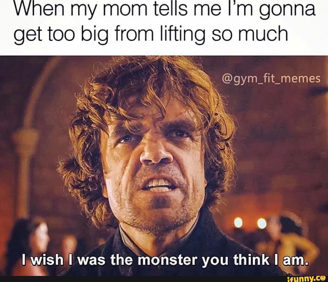 2023 Le Mans winner - iFunny