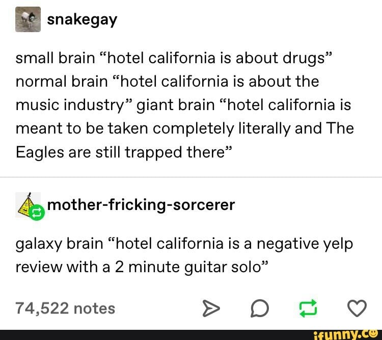 G small brain “hotel california is about drugs” normal brain “hotel ...