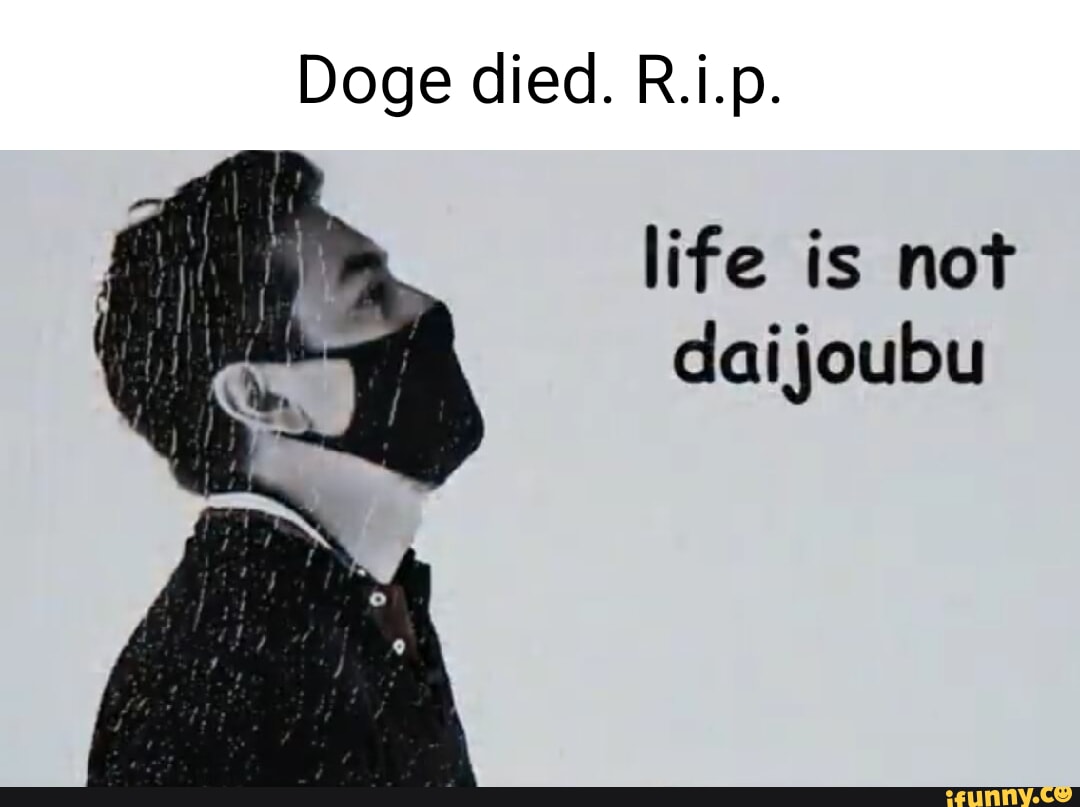 Daijoubu memes. Best Collection of funny Daijoubu pictures on iFunny