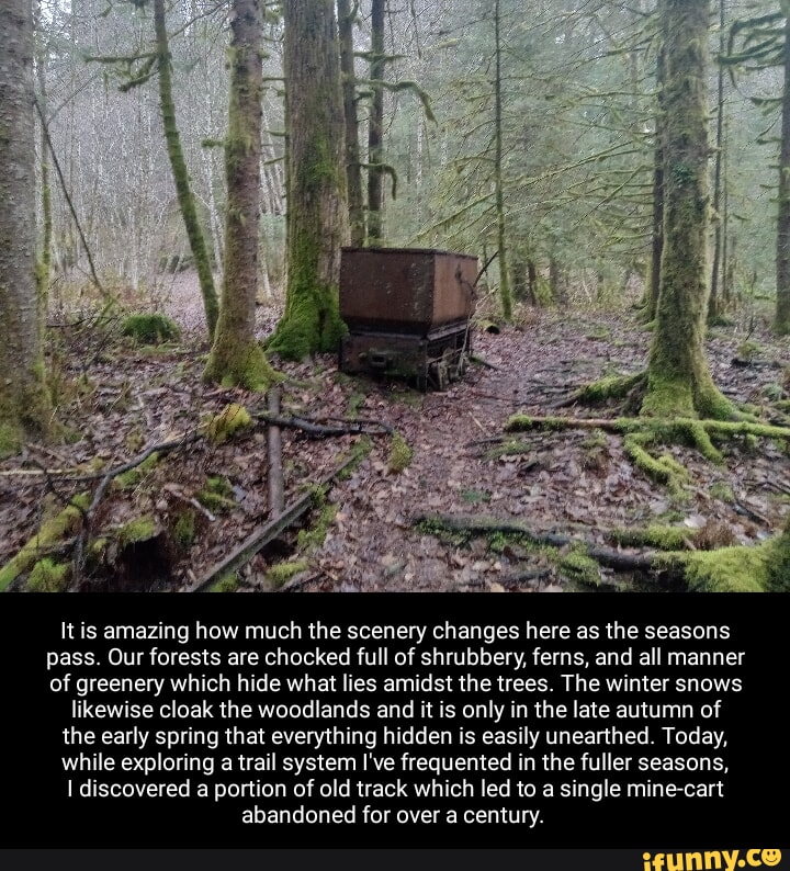 Ferns memes. Best Collection of funny Ferns pictures on iFunny