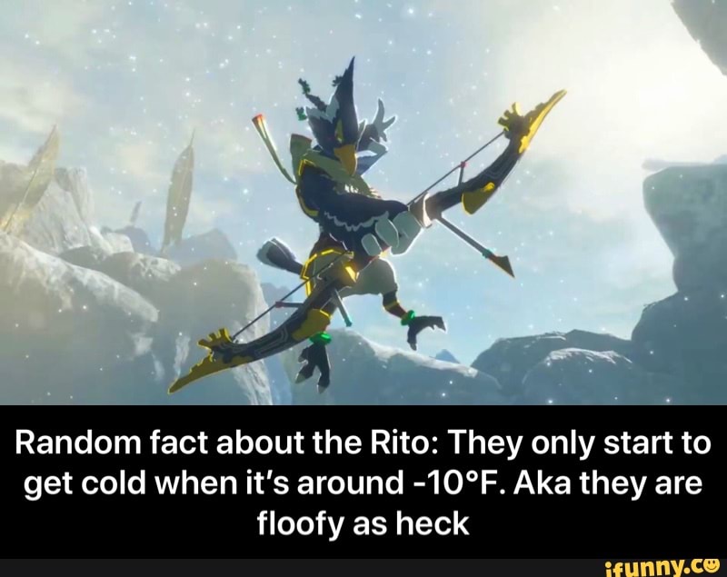 Random fact about the Rito: They only start to get cold when it's ...