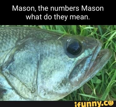 Mason, the numbers Mason what do they mean. - iFunny