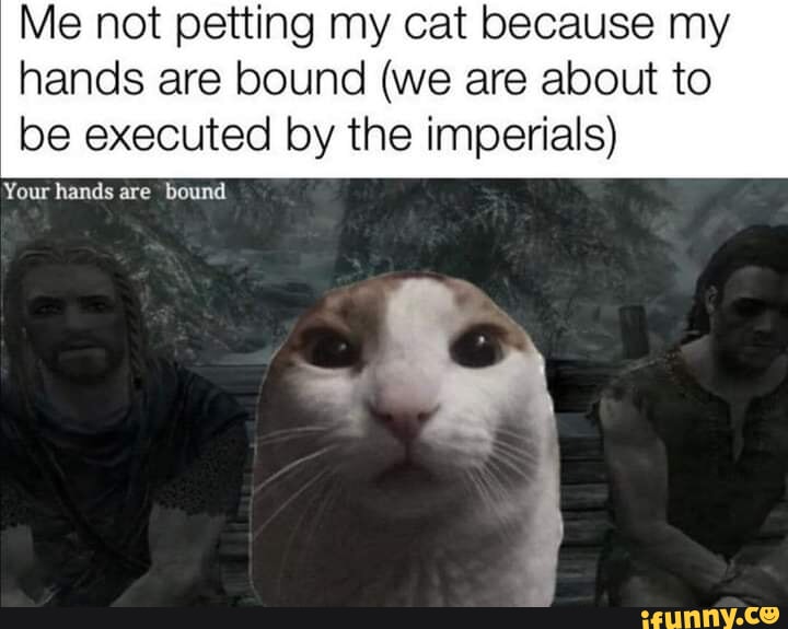 Executed memes. Best Collection of funny Executed pictures on iFunny