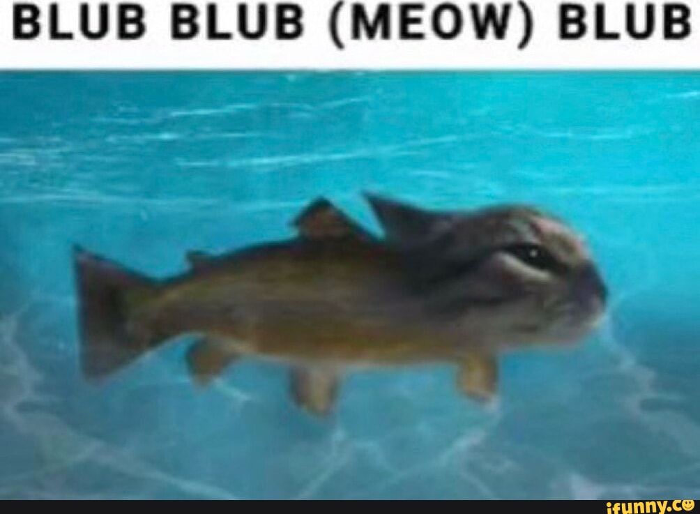 BLUE (MEOW) BLUE - iFunny