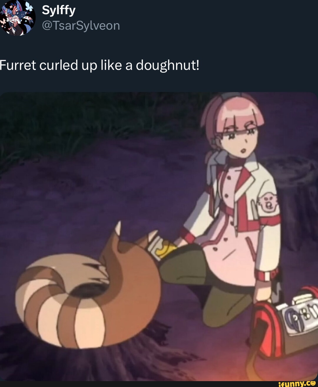 @TsarSylveon Furret curled up like a doughnut! - iFunny