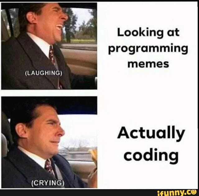 Looking at programming memes (LAUGHING) Actually coding (CRYING) - iFunny