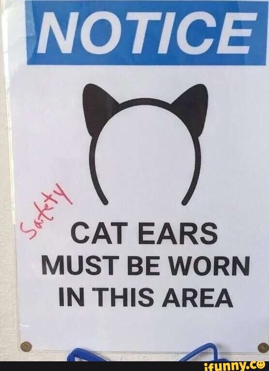 NOTICE CAT EARS MUST BE WORN IN THIS AREA an @ - iFunny