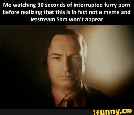 Me watching 30 seconds of interrupted furry porn before realizing that ...