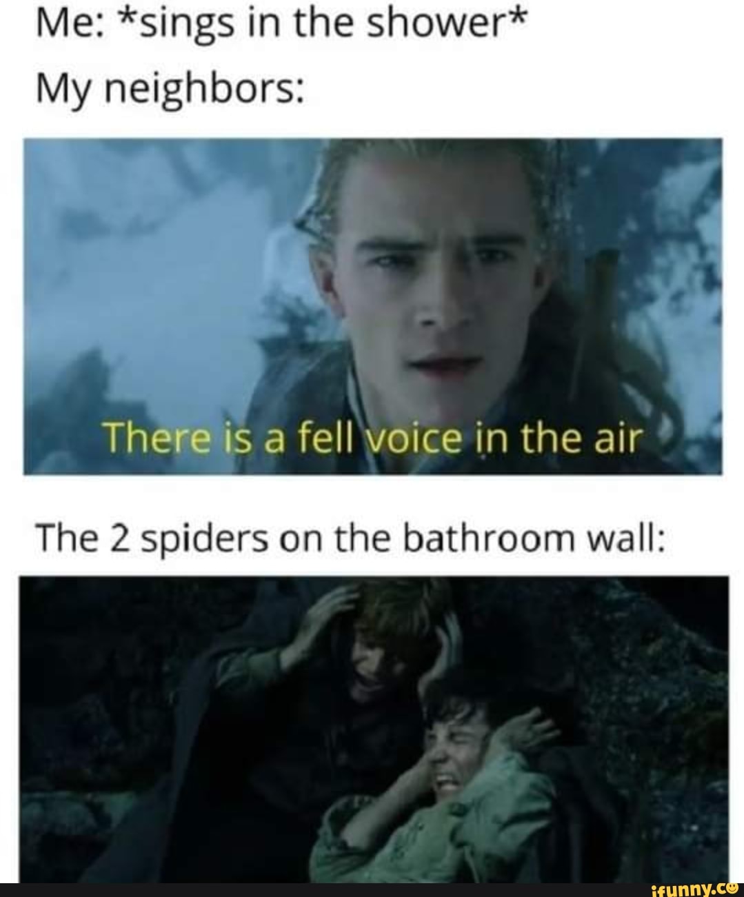 Me: *sings in the shower* My neighbors: The. is a fell voice in the air ...