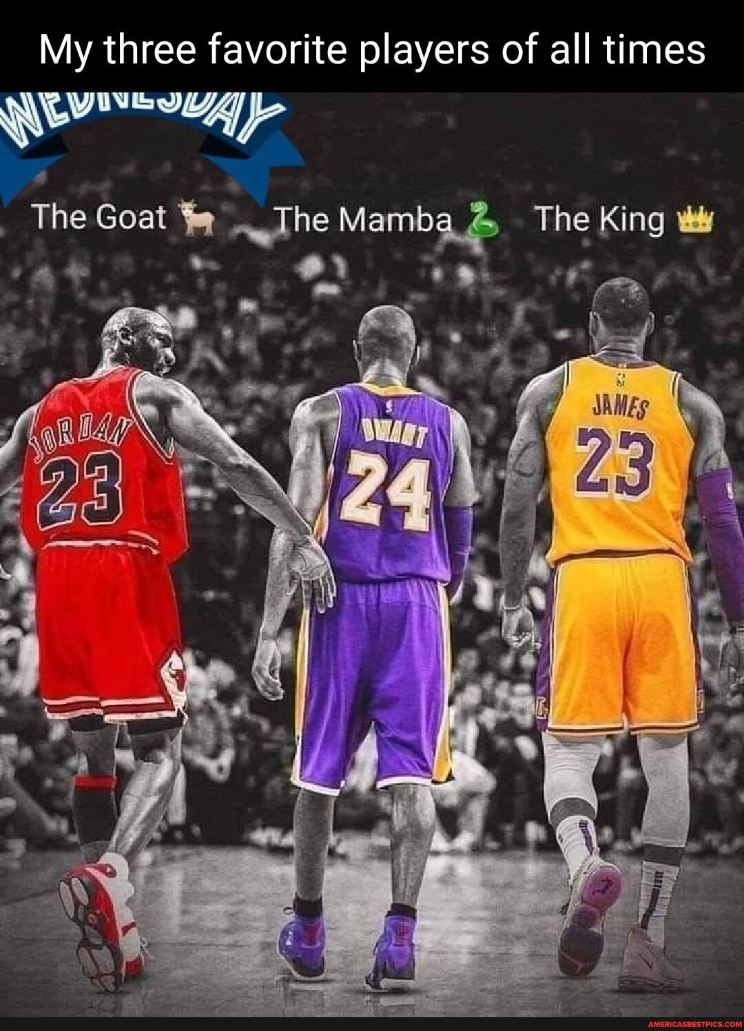 My three favorite players of all times The Goat The Mamba The King ...